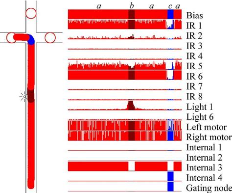 Activation Trace For A Choice Epoch Showing The Segmentation Of Download Scientific