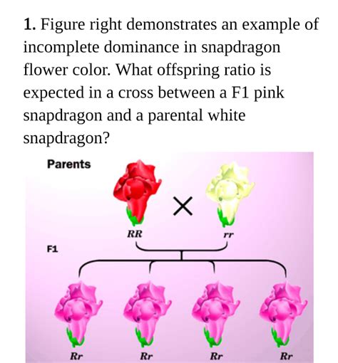 Solved 1 Figure Right Demonstrates An Example Of Incomplete