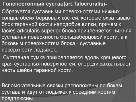 Анатомия и биомеханика голеностопного сустава Online Presentation