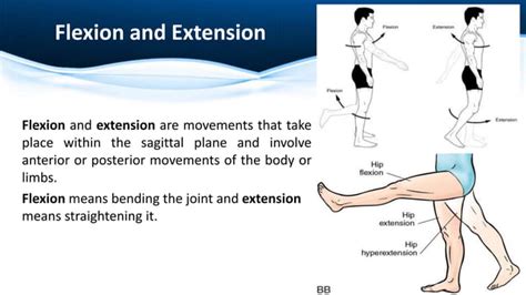 Fixed Flexion Deformity Ppt