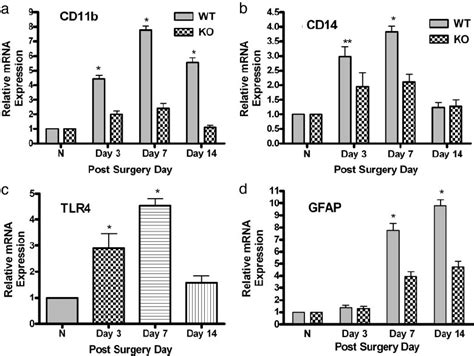 Real Time Quantitative Rt Pcr Analyses Of Mrna Temporal Expression Of