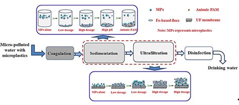Microplastics Encyclopedia Mdpi