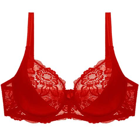 New Lace Perspective Bra Women Sexy Lingerie Underwire Embroidery