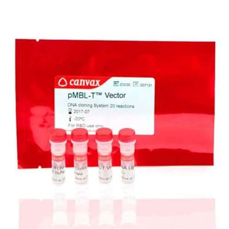 Buy Dna Cloning You Do Bio