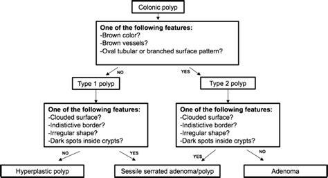 Wasp Classification Adapted From Ijspeert Et Al Permission Granted By