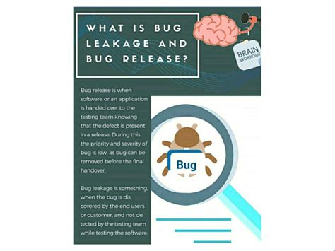 Shashwat Chauhan On Linkedin Stad Solution Software Testing