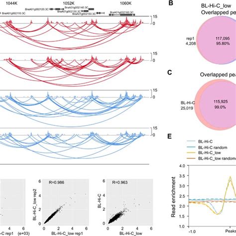 Comparision Of Peaks Detected By Bl Hi C And Low Input Bl Hi C In B