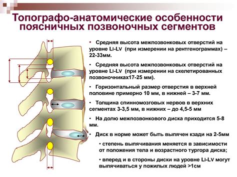 Рентгенодиагностика дистрофических изменений элементов позвоночного