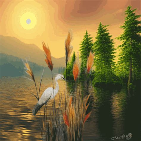 Natura Relax  Natura Relax Tramonto Discover And Share S