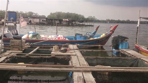 Js Muara Restoran Terapung Kuala Gula