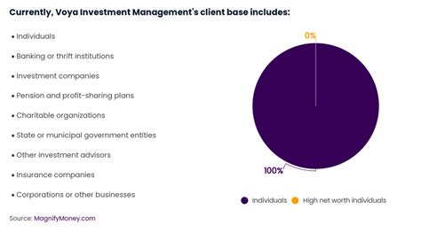 Voya Investment Management Review Magnifymoney
