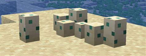 Guía de las tortugas de Minecraft Apex Hosting