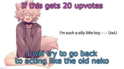 Silly Neko Announcement Template Imgflip