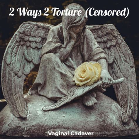 Stream Sexual Habits By Vaginal Cadaver Listen Online For Free On