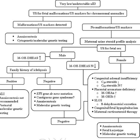 Pdf X Linked Ichthyosis Differential Diagnosis Of Low Maternal