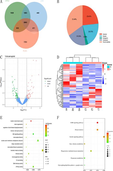 Identification And Bioinformation Analysis Of Lncrnas A The Numbers