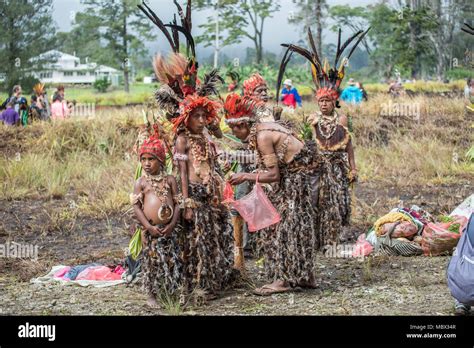 A Group Of Women With Traditional Feathers Costume And Headdress Mount Hagen Cultural Show