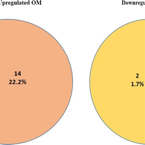 Venn Diagram Showing Upregulated A And Downregulated B Mirnas
