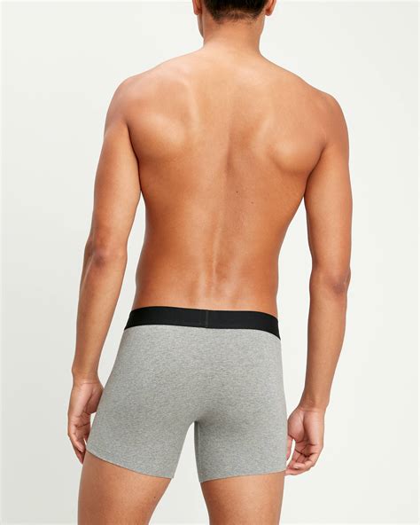 Levis® Basic Boxer Brief 2 Pack Grey Levis® It