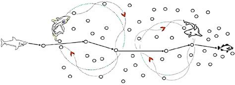 Figure 1 From Evaluation Of Contemporary Evolutionary Algorithms For Optimization In Reservoir