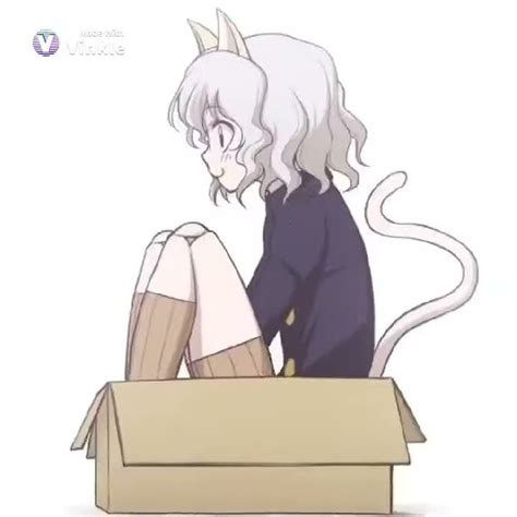 Pitou And Killua Edit Youtube