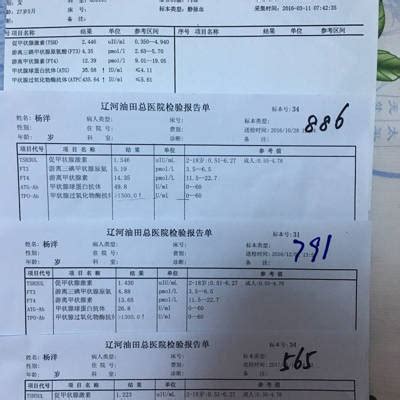 甲功五项查的是什么 甲检查 甲五项 大山谷图库