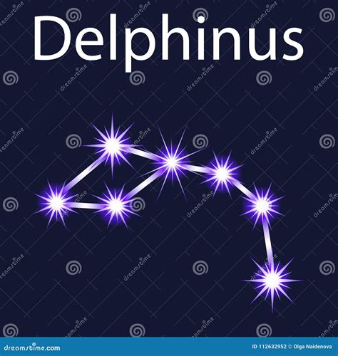 Constellation Delphinus With Stars In The Night Sky Stock Vector