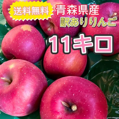 青森県産 訳あり りんご 11キロ ツル割れ 送料無料 産地直送｜paypayフリマ