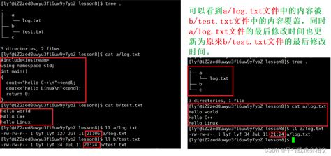 Linux Mv Csdn