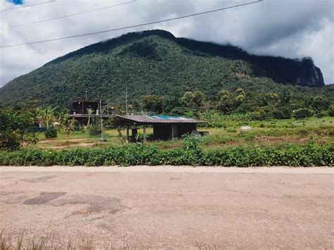 ขายที่ดินติดถนนลาดยางเมืองงาย เชียงดาวพร้อมโอน ที่ดินร้อยแปด คอม