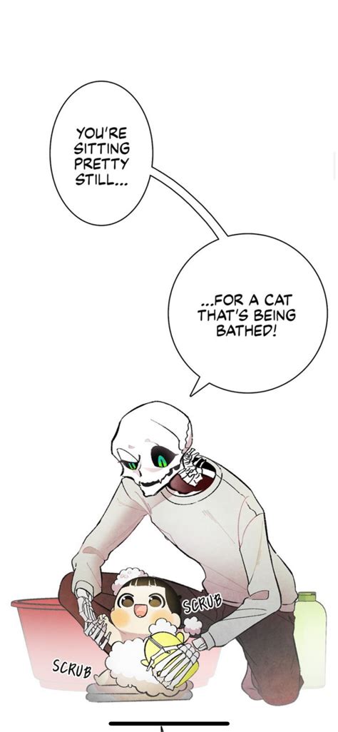 Spoiler The Skeleton Becomes A Cat Dadmetamorphosis Novel Updates