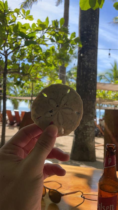 Girlfriend Found Her First Sand Dollar And It Happened To Be Complete
