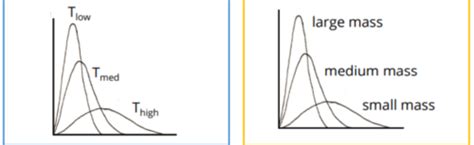 Exam Prep Flashcards Quizlet