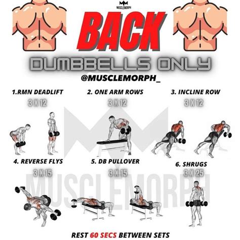 MuscleMorph Supps Workouts Shared A Post On Instagram BACK