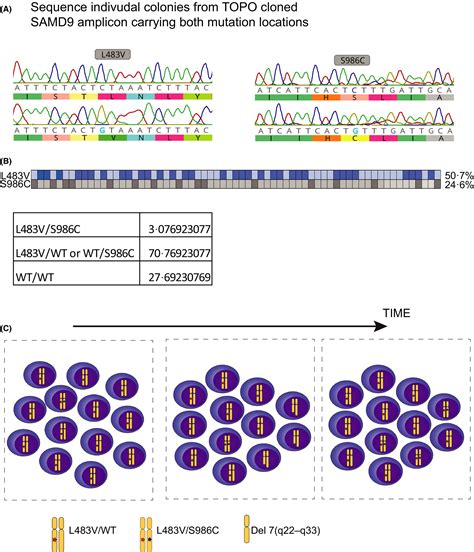 In Trans Early Mosaic Mutational Escape And Novel Phenotypic Features