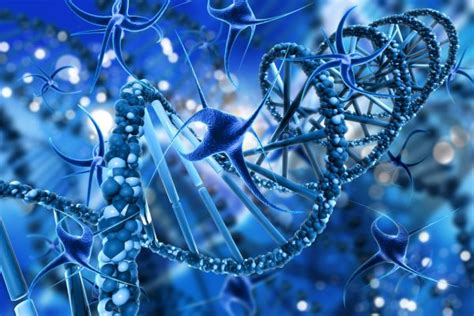 Advanced Internship In Computer Aided Drug Design Molecular Docking