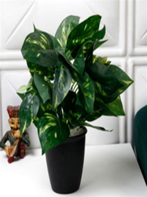 Buy Foliyaj Black And Green Artificial Flowers And Plants Artificial