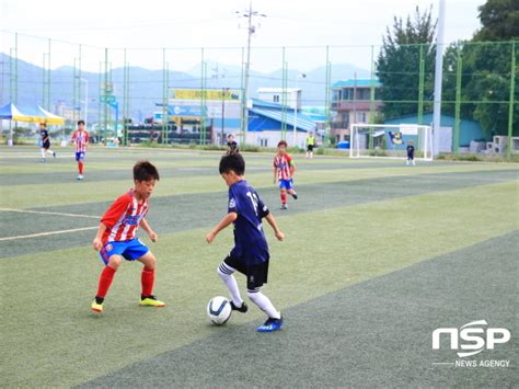 울진군 2022 울진금강송배 전국유소년클럽 축구대회 개최 NSP통신