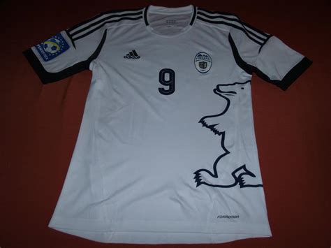 Fc Hoverla Uzhhorod Home Football Shirt 2013 2014