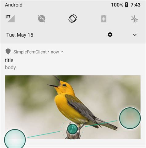 Big Picture Notification Issue Evollu React Native Fcm GitHub