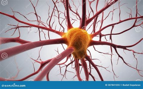 Neurons The Building Blocks Of The Nervous System Stock Illustration