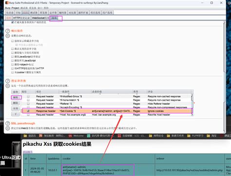 Owasp Top Xxs Owasp Top Xss Csdn