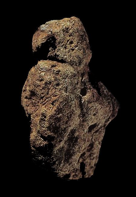 Orrorin Tugenensis Fossil
