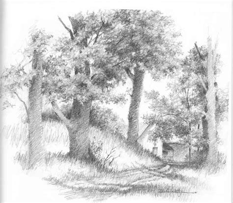 Shaded Tree Drawing At PaintingValley Com Explore Collection Of Shaded Tree Drawing