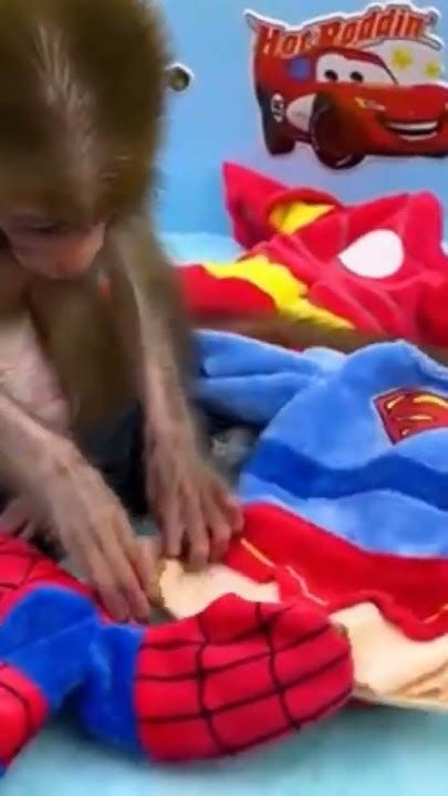 Cartoon Video Munky Video Funny Video Fun Video Youtube