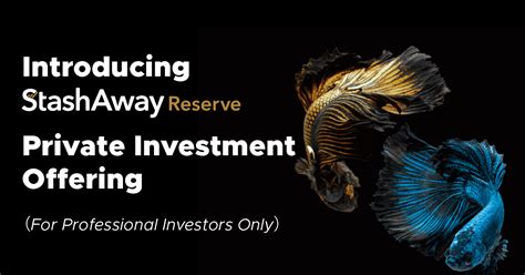 Introducing Stashaway Reserves Private Investment Offering Stashaway