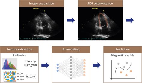Artificial Intelligence And Echocardiography Pmc