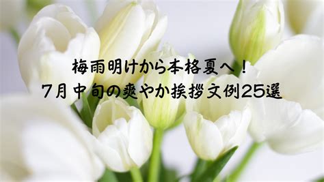 米寿祝い誕生日メッセージ25選【豊かな88年を祝う】 言葉の花束