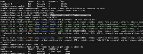 Kubernetes Helm Unable To Start Keycloak With Preview Or Scripts
