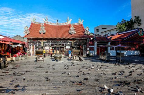 2024观音寺游玩攻略 路边的一排花店也陆续开张 去哪儿攻略
